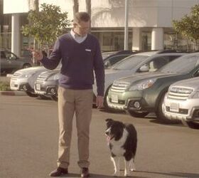 Subaru Turns to Dogs for Puppy Bowl Sunday Ads – Videos | AutoGuide.com