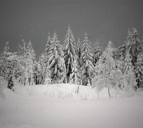 How Do Traffic Jams Start? | AutoGuide.com