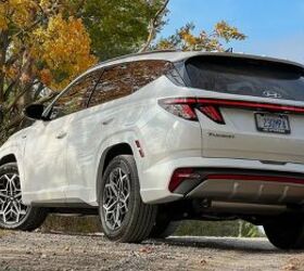 Best hybrid car for dogs store