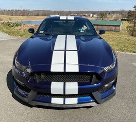 Stunning 2010 Gt Mustang For Sale Photos