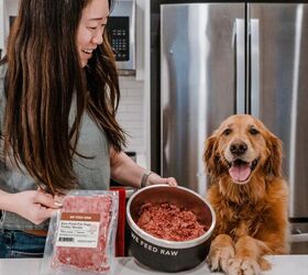 5 Subtle Signs Your Dog Might Need a Food Upgrade | AutoGuide.com