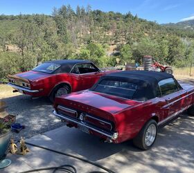 1967 Ford Mustang For Sale | AutoGuide.com